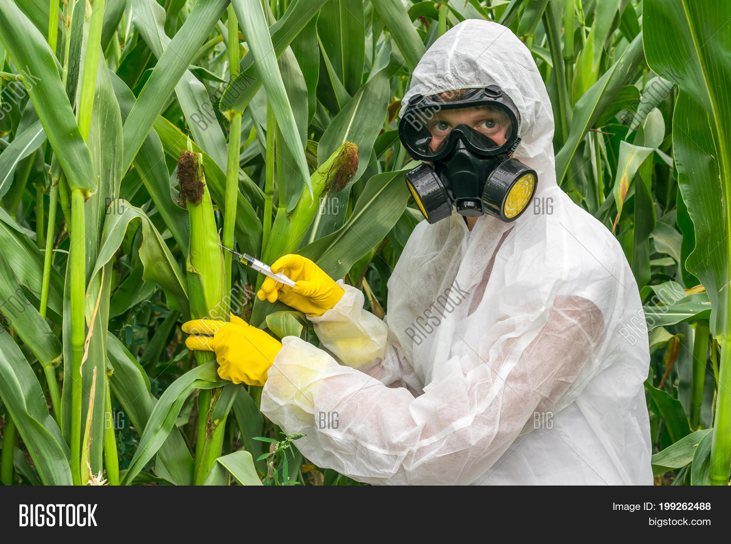 Gmo Scientist Image & Photo (Free Trial) | Bigstock