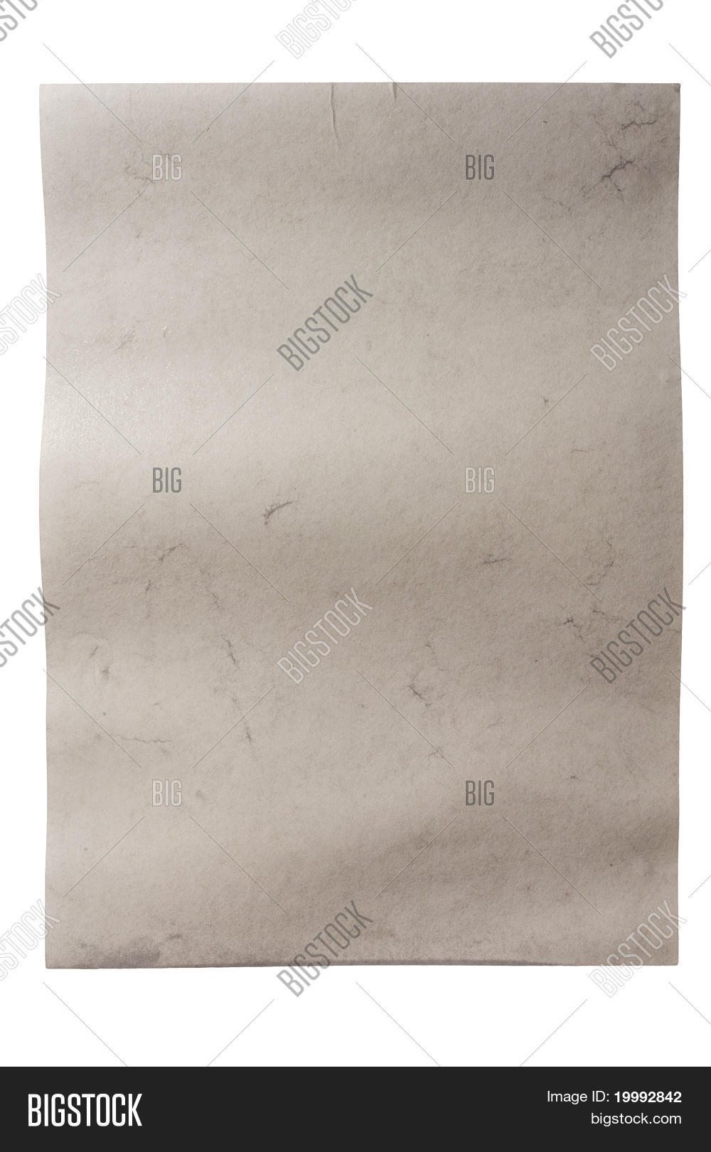 Wet Rough Paper Image & Photo (Free Trial) | Bigstock