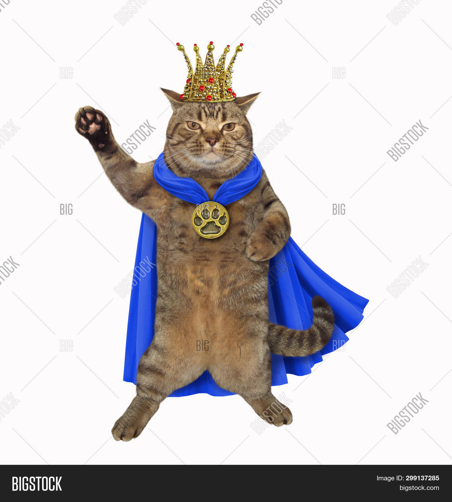 Cat King Wearing Blue Image & Photo (Free Trial) | Bigstock