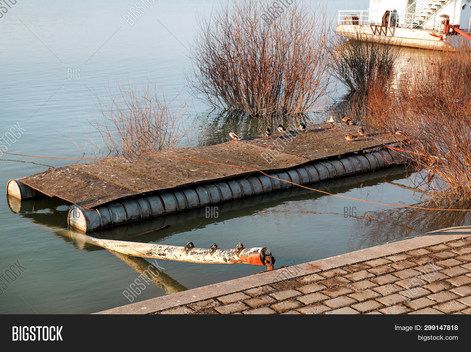 Pontoon Raft. Pontoon Image & Photo (Free Trial) | Bigstock