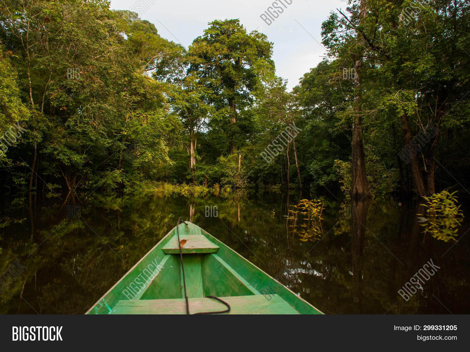 Amazon River, Manaus, Image & Photo (Free Trial) | Bigstock