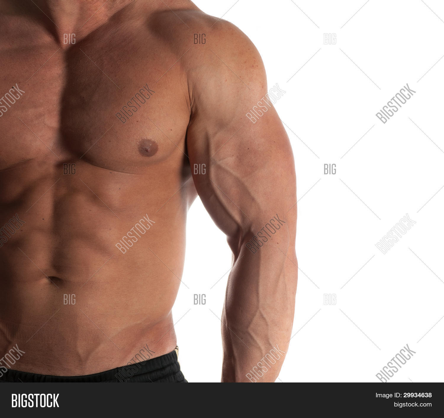 Muscular Male Torso Image & Photo (Free Trial) | Bigstock