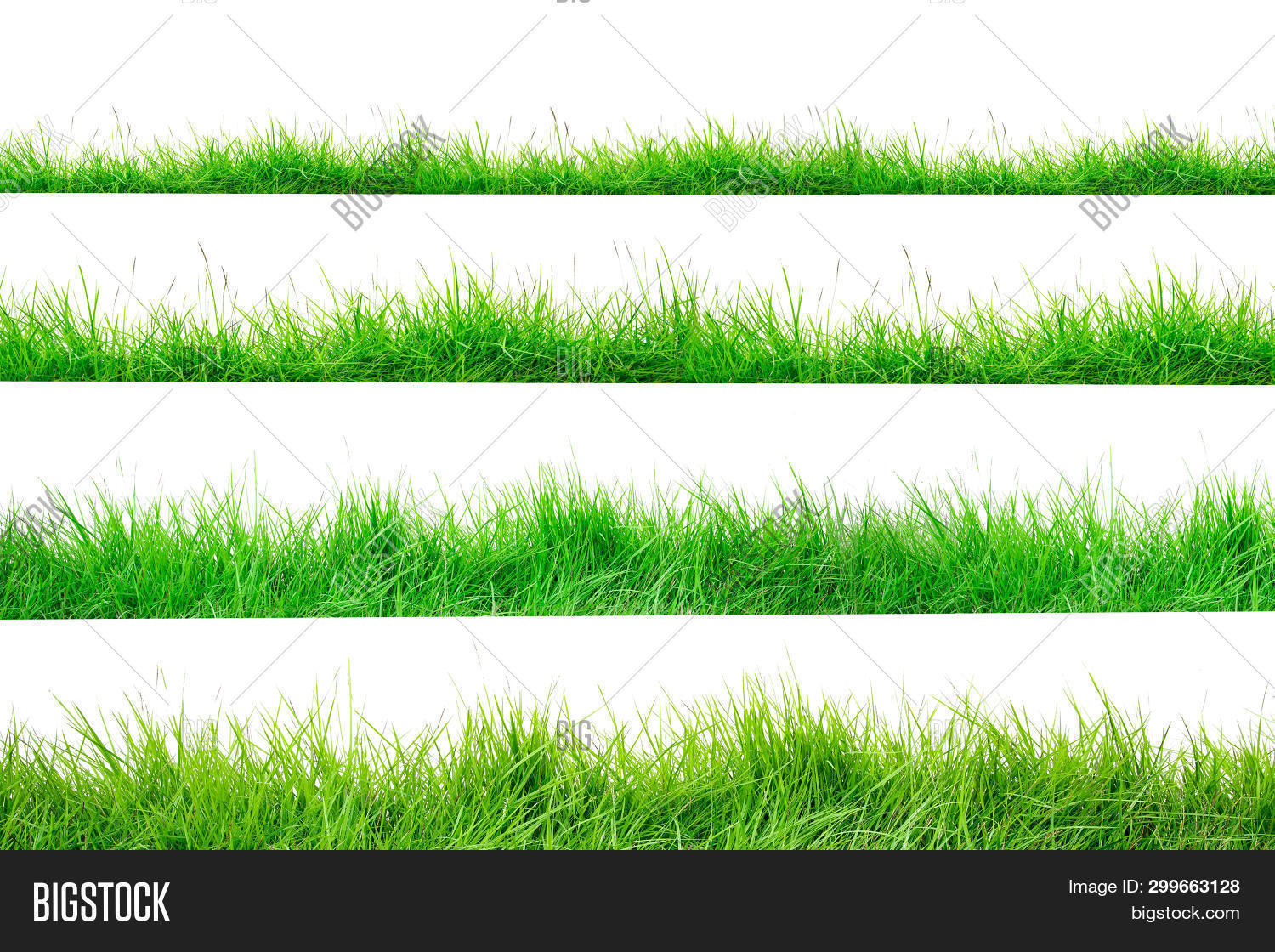 Green Grass Border Image & Photo (Free Trial) | Bigstock