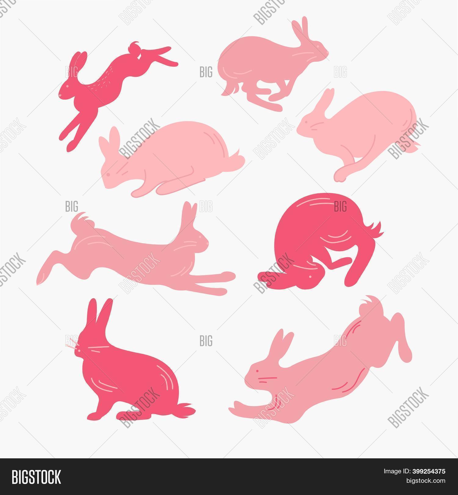 Cute Pink Rabbit Image & Photo (Free Trial) | Bigstock