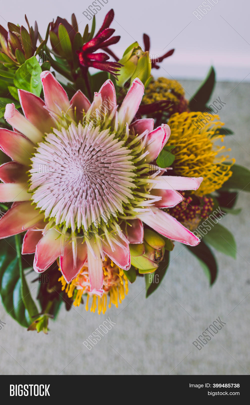 Bunch Native Image & Photo (Free Trial) | Bigstock