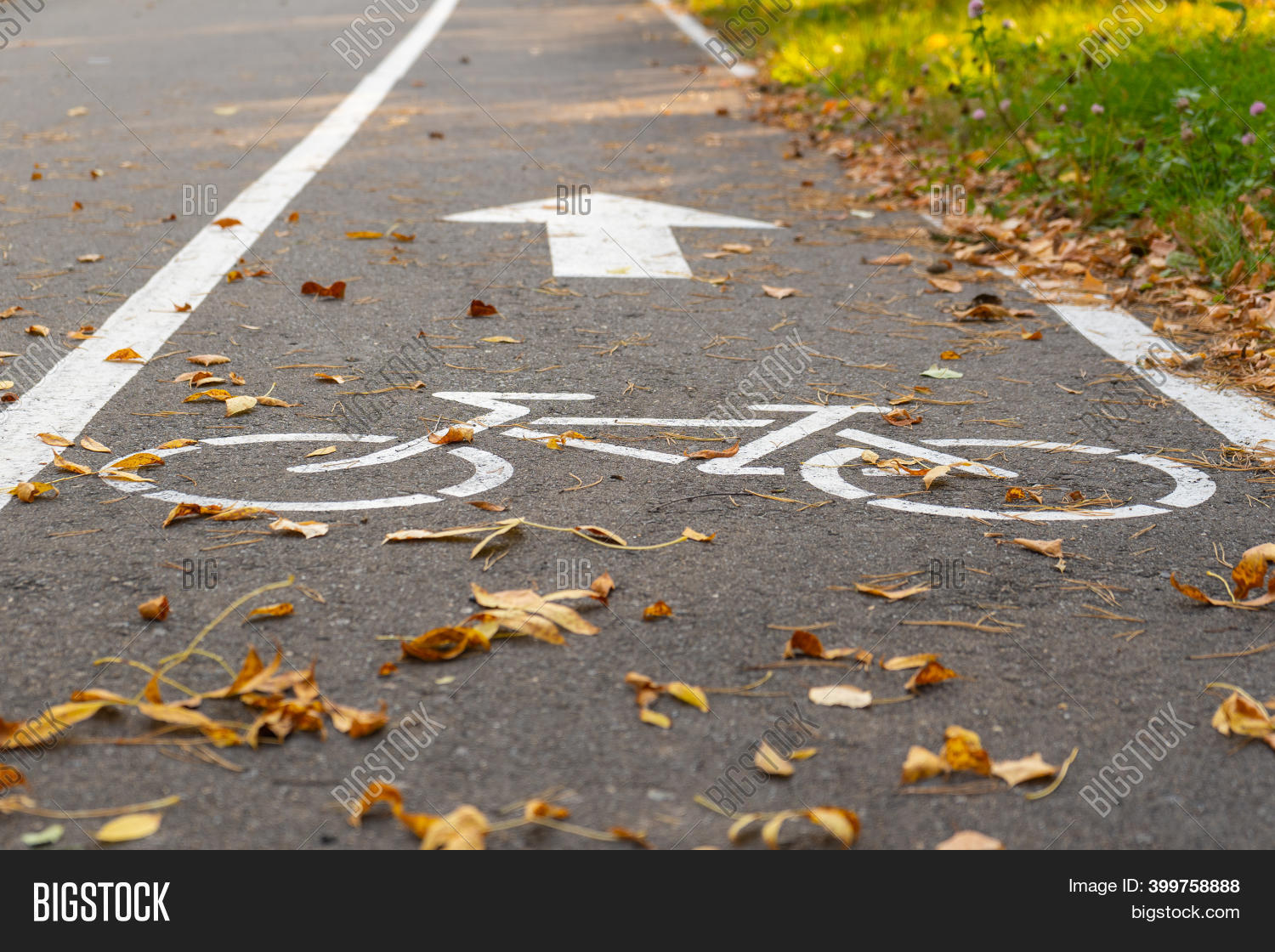 Bike Path Autumn Park Image & Photo (Free Trial) | Bigstock