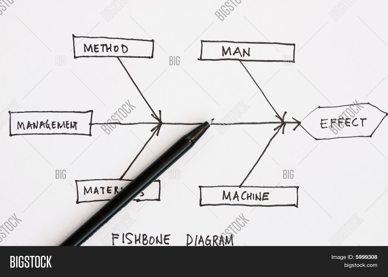 Fishbone Diagram Image & Photo (Free Trial) | Bigstock