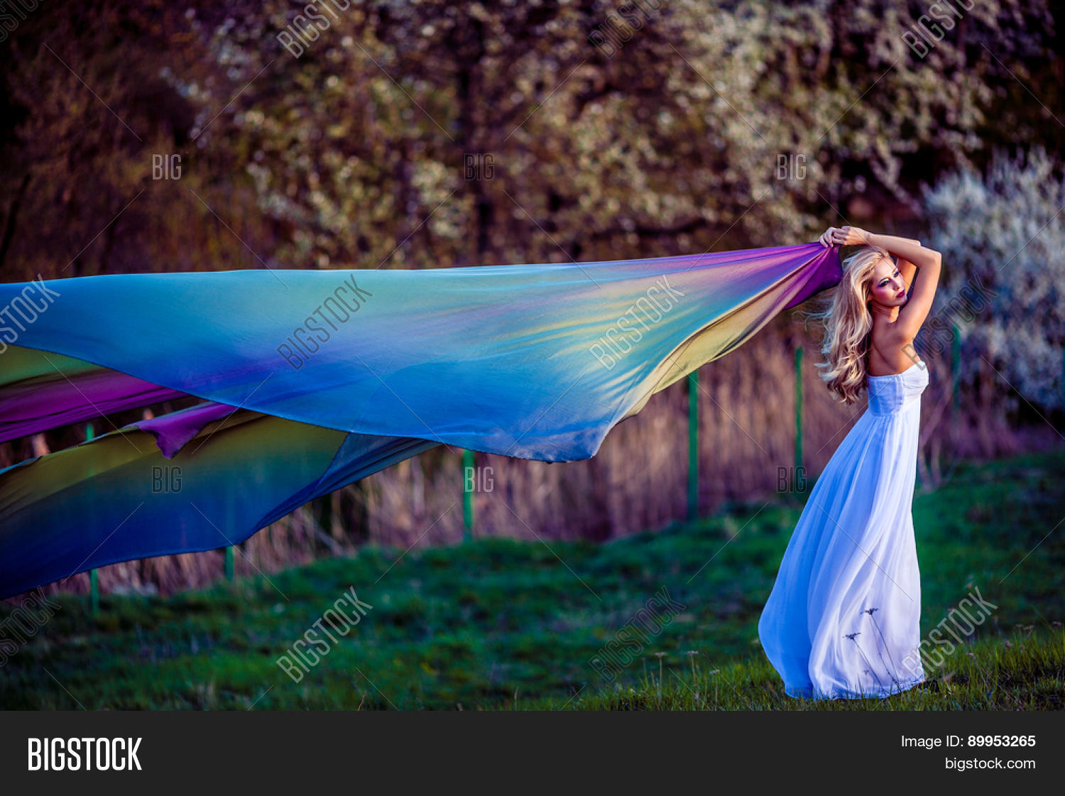 Fairies Real, Image & Photo (Free Trial) | Bigstock