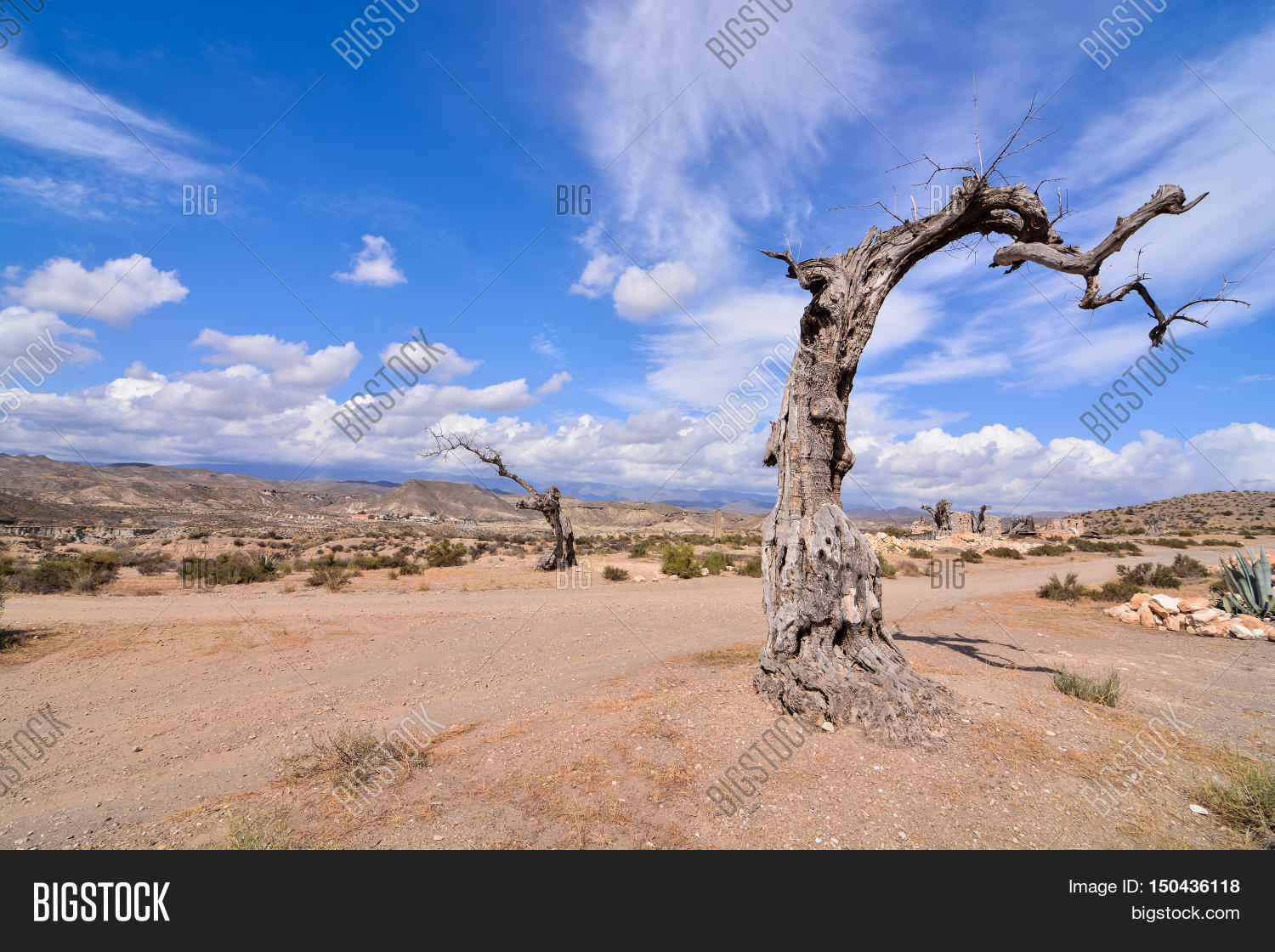 Dry Desert Landscape Image & Photo | Bigstock