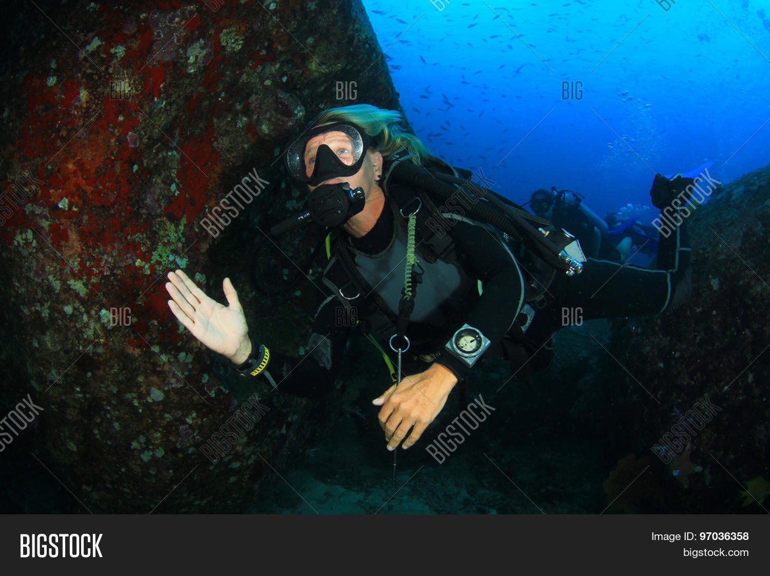 Beautiful Woman Scuba Diving Image & Photo | Bigstock