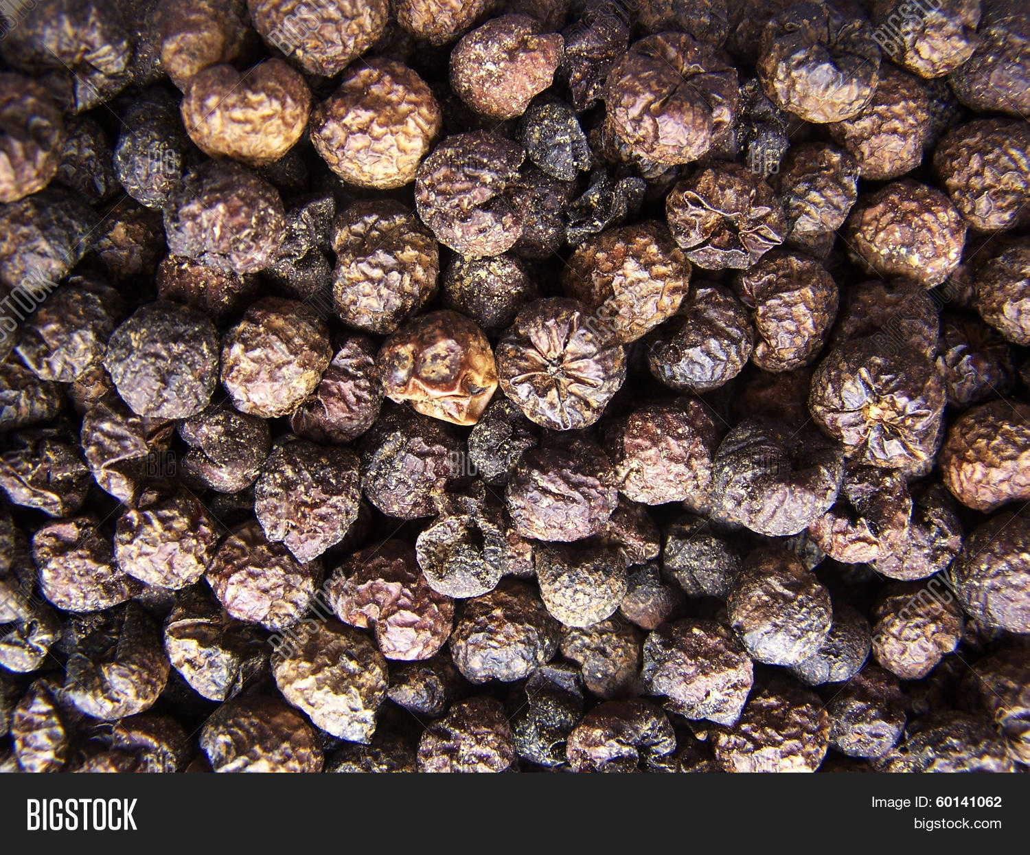 Dried Turkey Berry Solanum Torvum Image & Photo | Bigstock