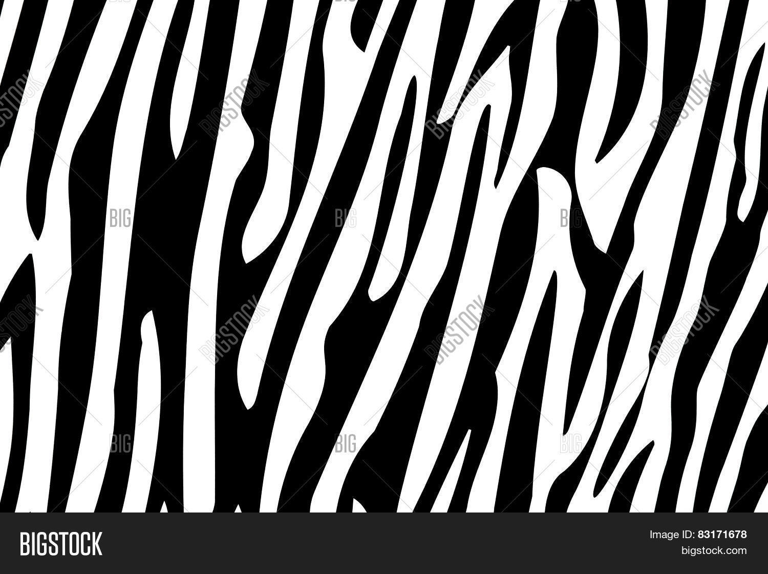 Zebra Stripes Seamless Pattern Image & Photo | Bigstock