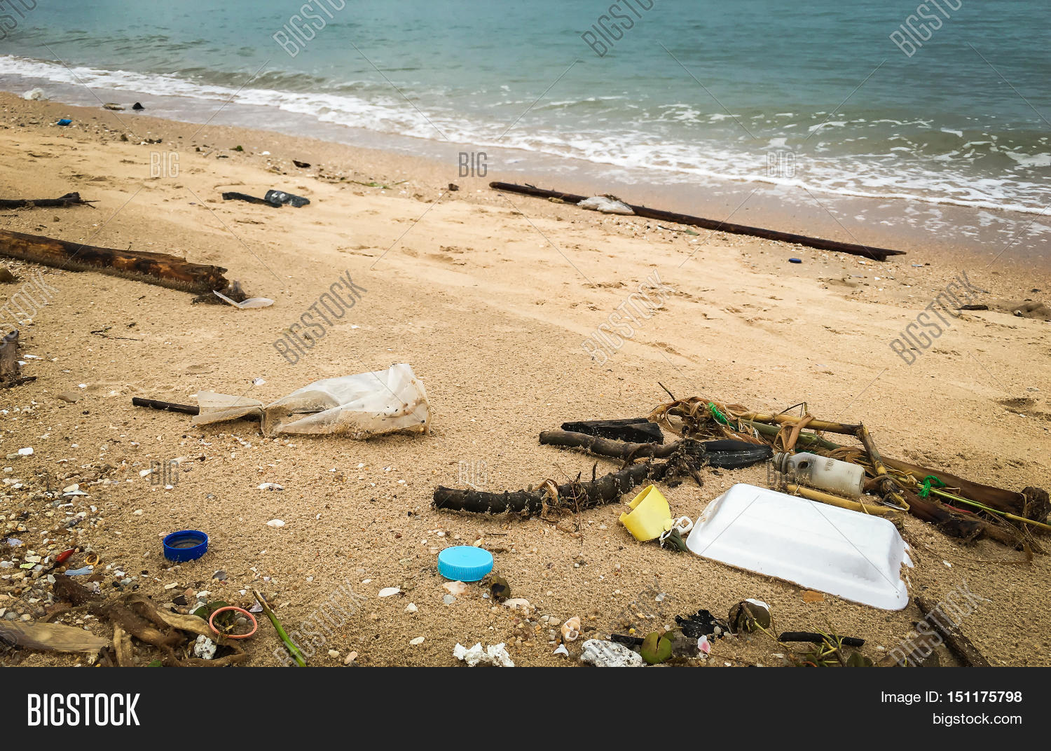 Styrofoam On Beach, Pollution, Image & Photo | Bigstock