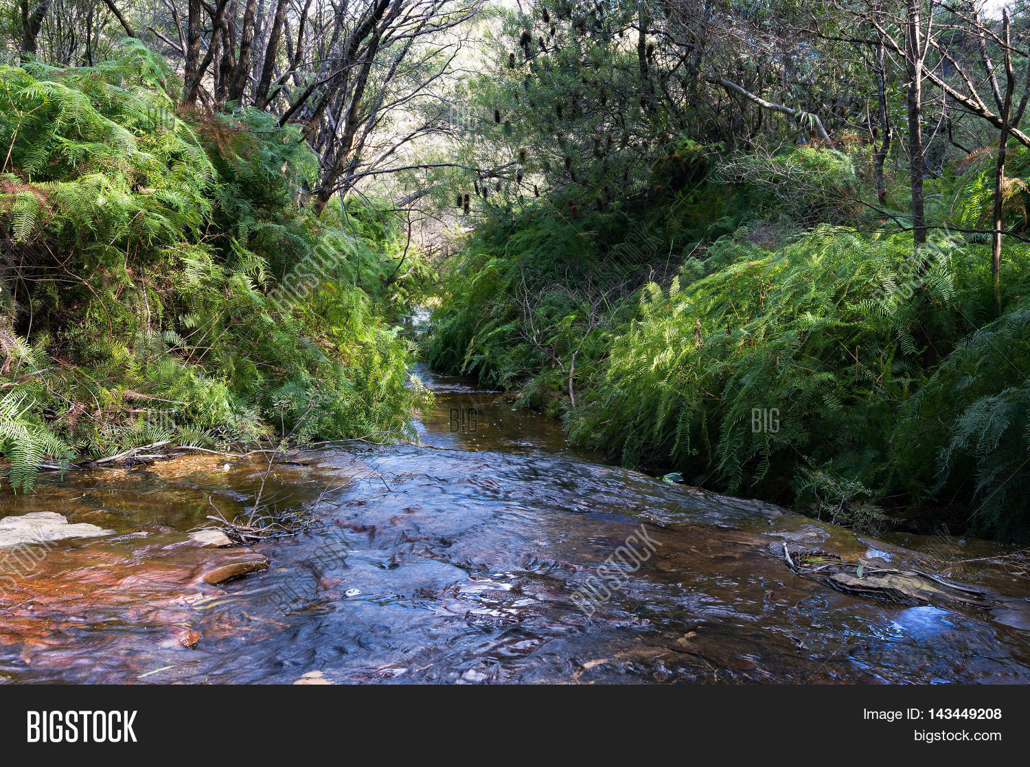 Australian Bush Creek, Wentworth Falls Stock Photo & Stock Images ...