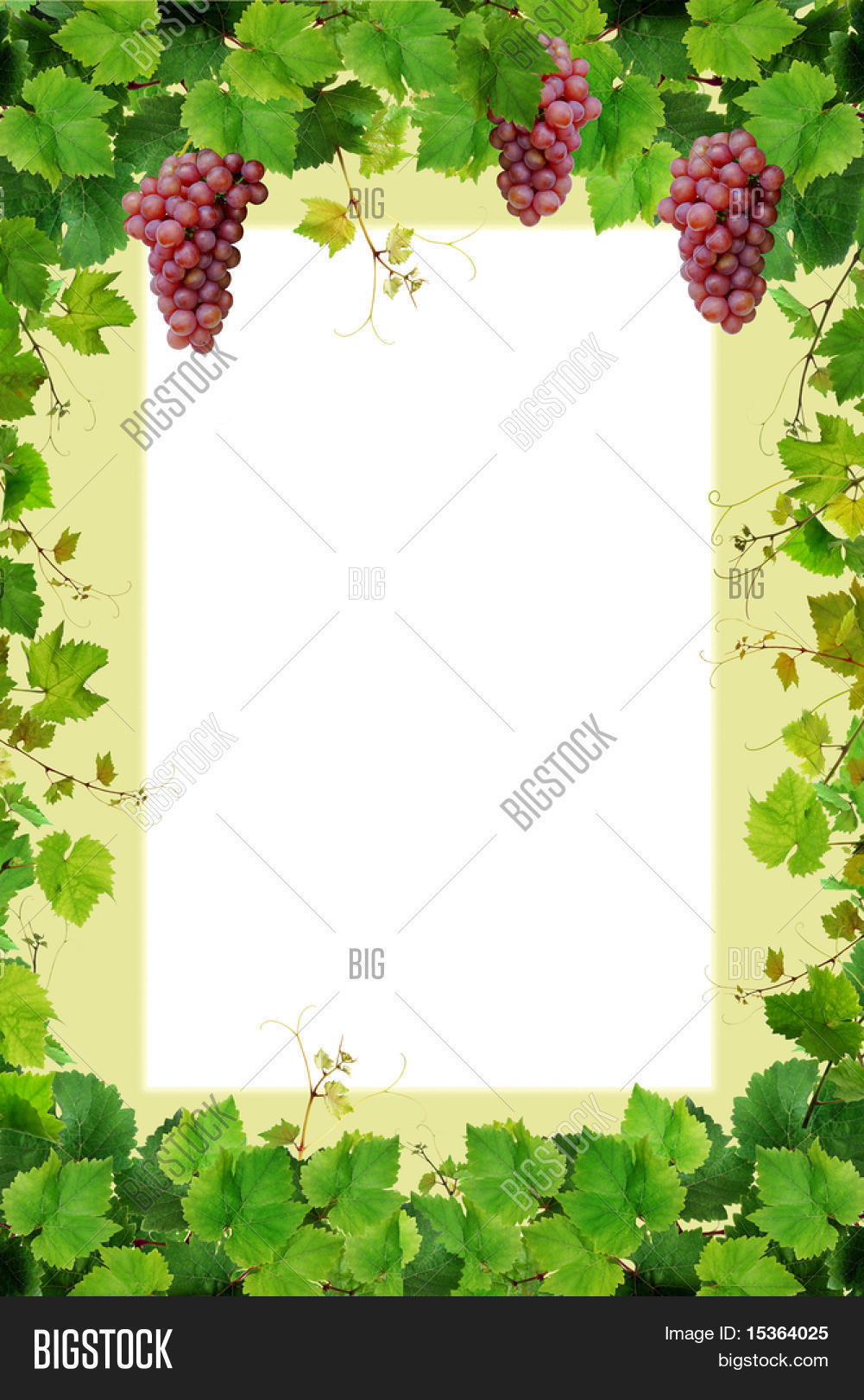 Grapevine frame with pink grapes Stock Photo & Stock Images | Bigstock