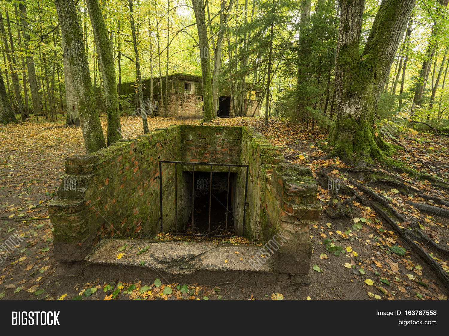 Wolf's Lair Adolf Hitler's Bunker Image & Photo | Bigstock