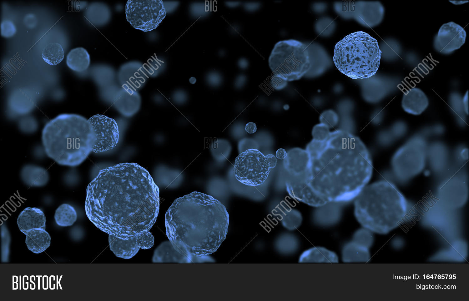 Spherical Bacteria Microscope