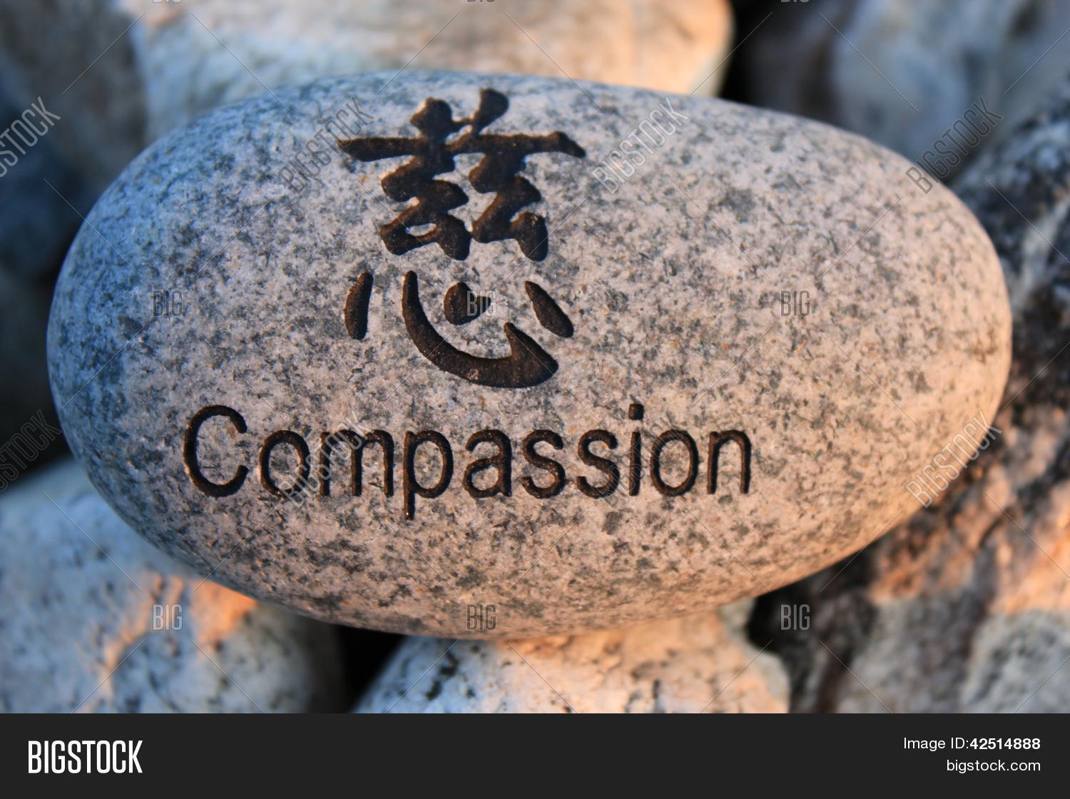 Compassion Image & Photo | Bigstock