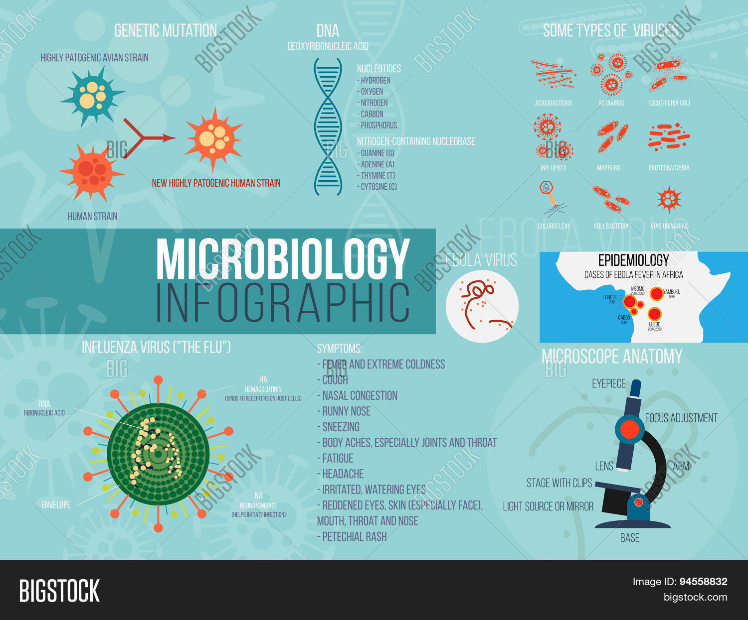 Microbiology infographic. Set with different shapes of virus. Flat ...