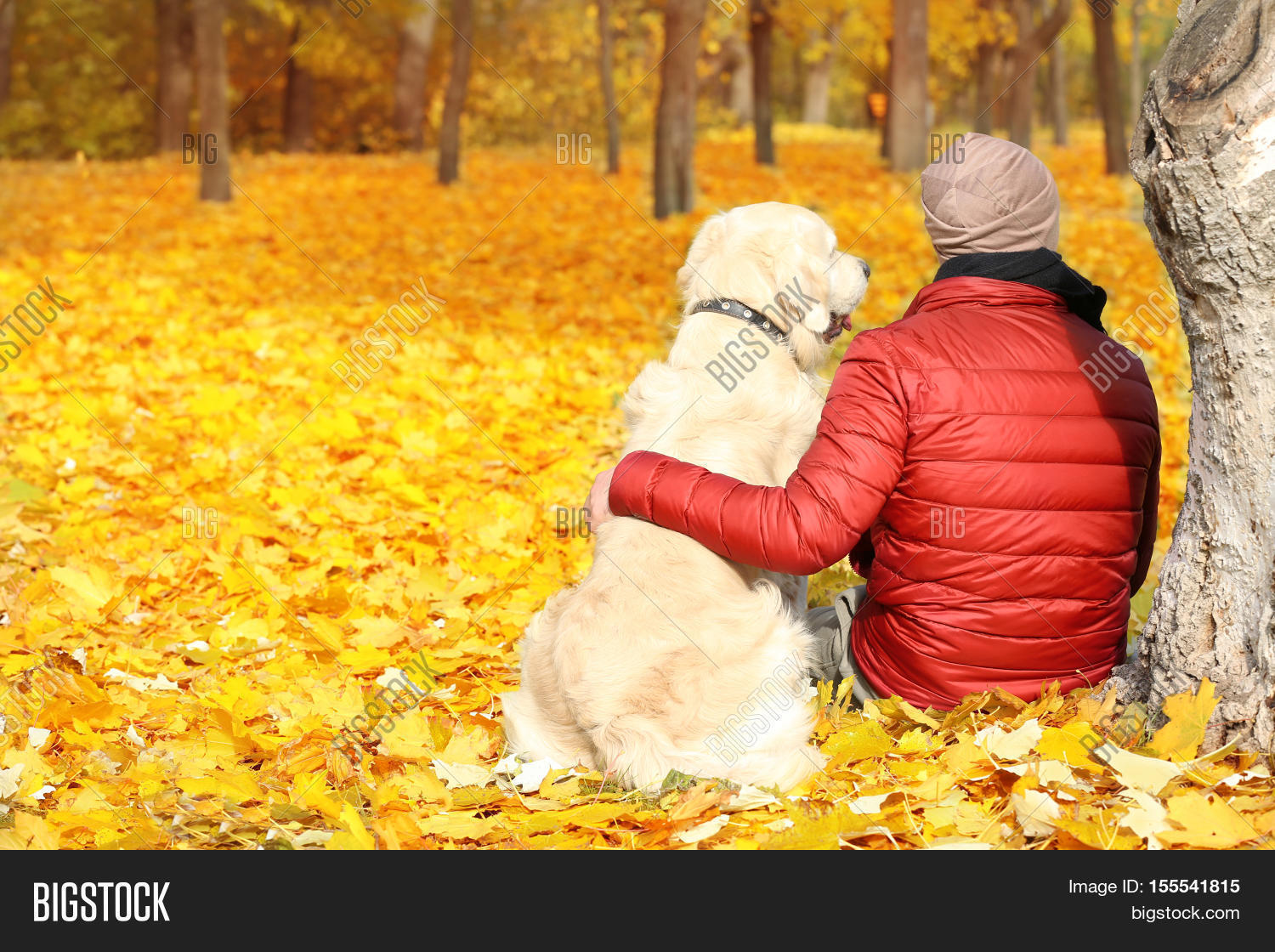 Man His Dog Sitting Under Tree Image & Photo | Bigstock