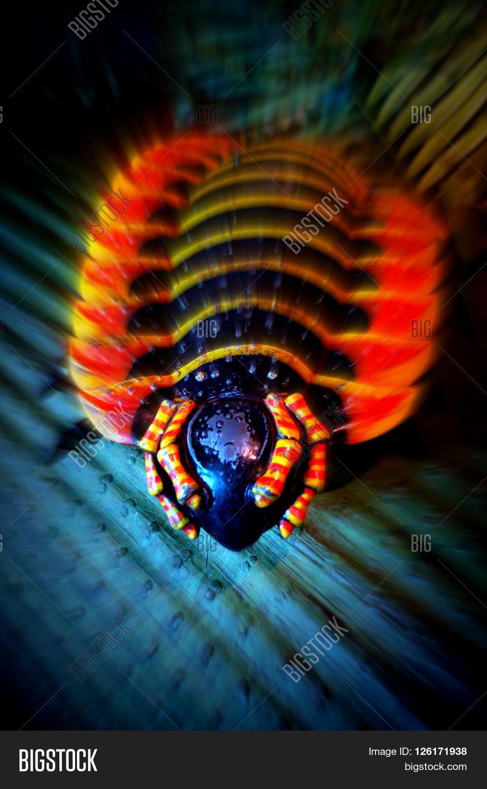 Arthropleura - a large wild prehistoric extinct giant Centipede Stock ...