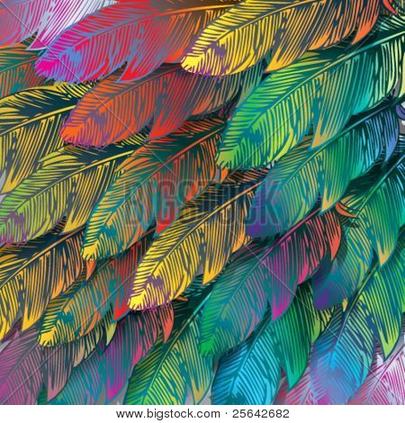 Imagenes con colores exoticos - Imagui