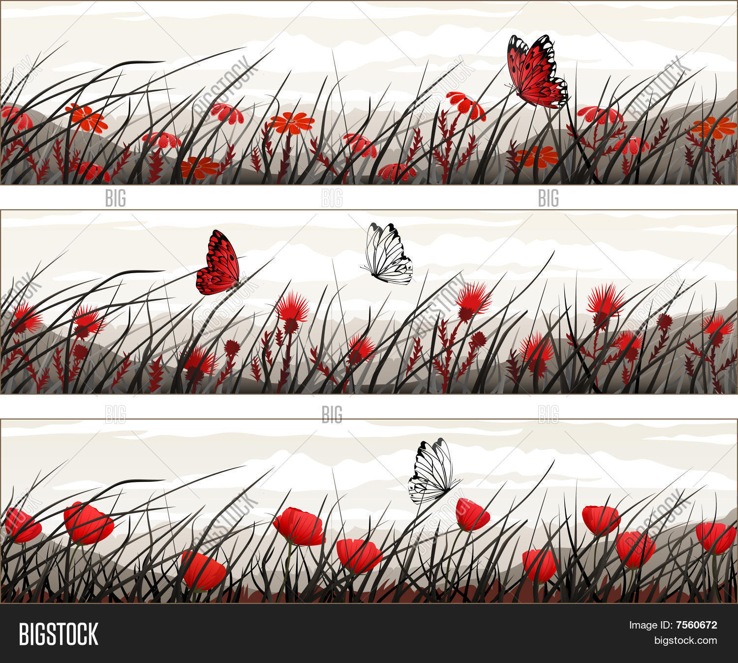 Black-White-Red Butterfly Banner Stock Vector & Stock Photos | Bigstock