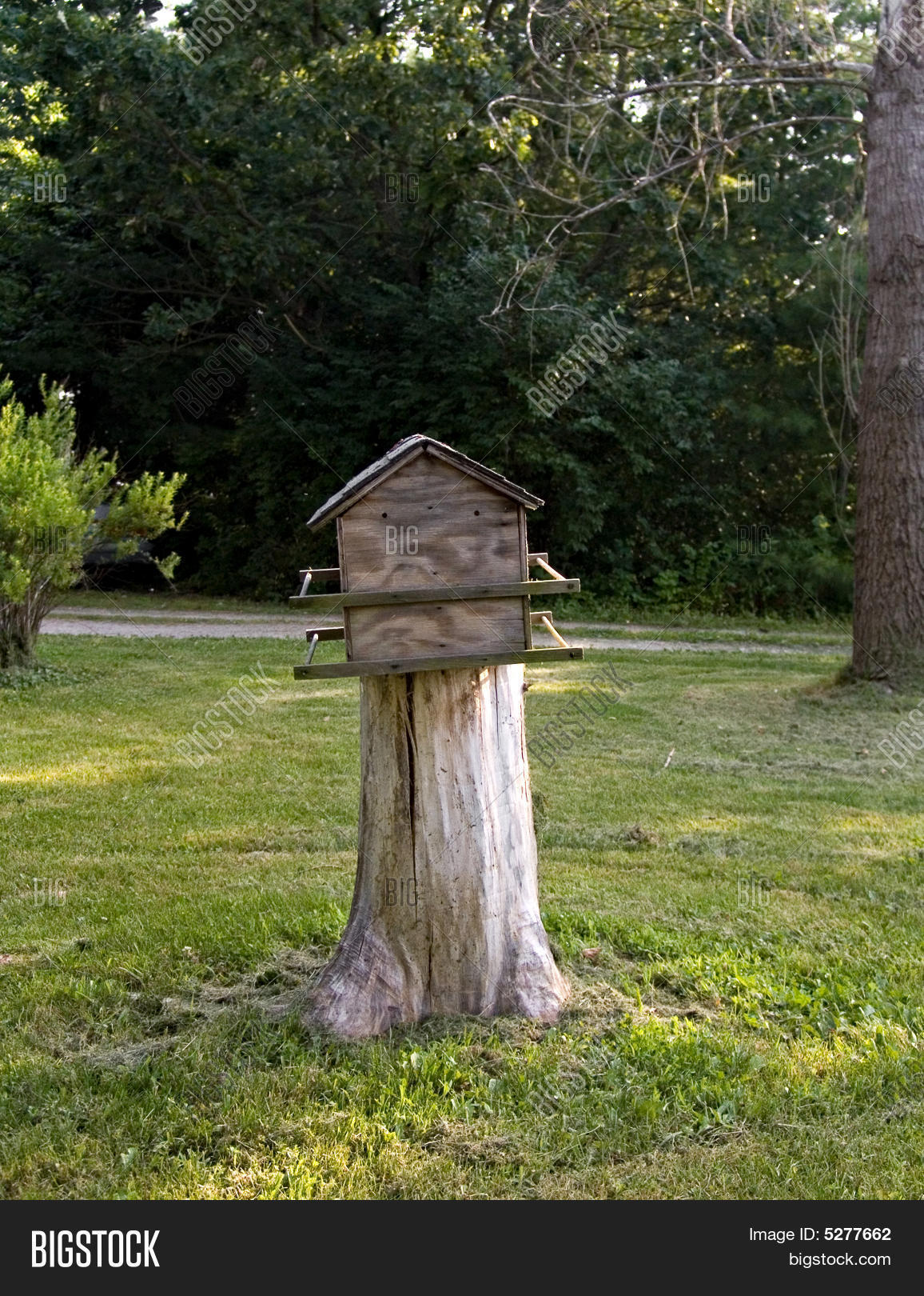 Bird House On Tree Stump Stock Photo & Stock Images | Bigstock