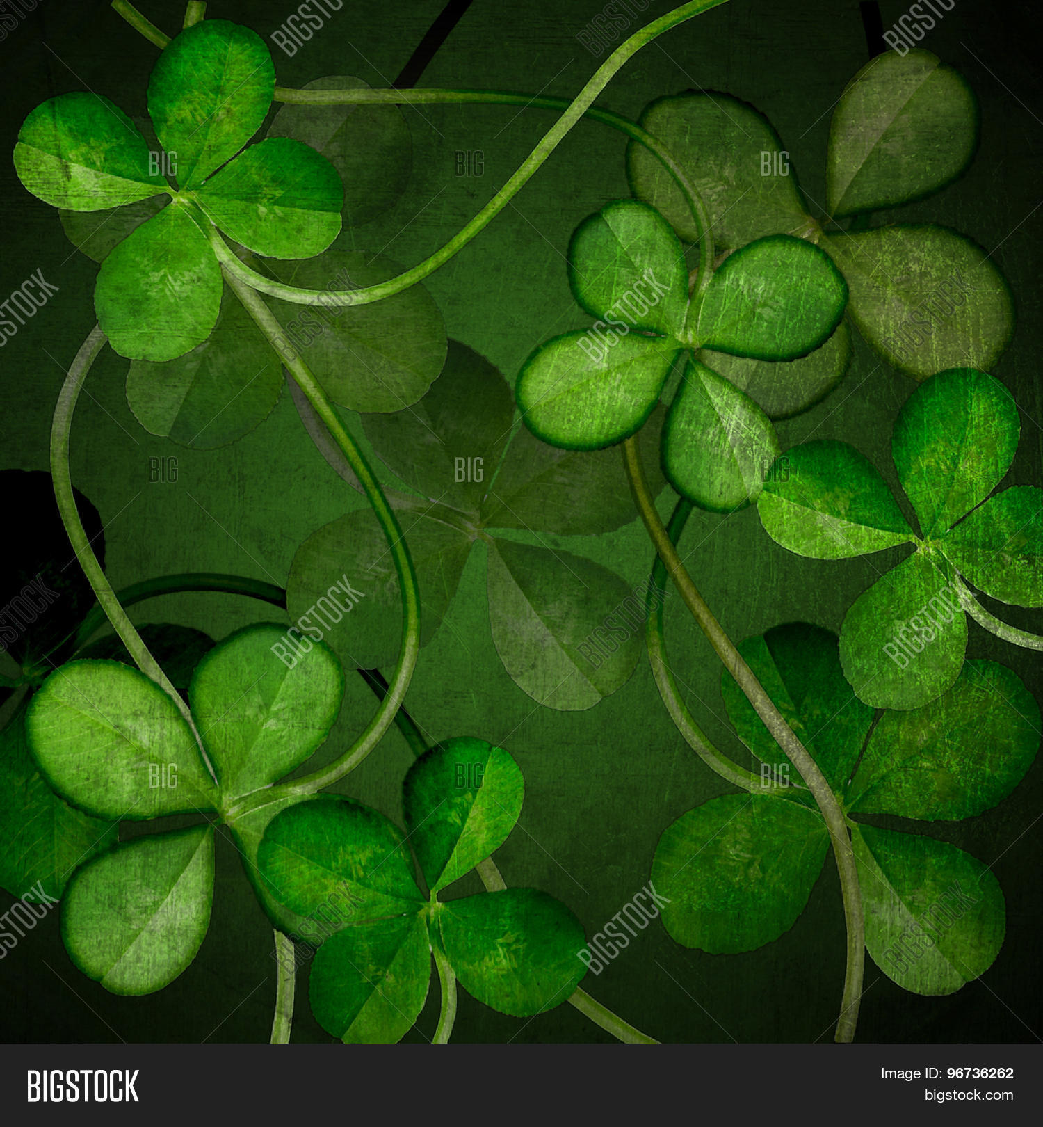 Four Leaf Clover.green clover background Stock Photo & Stock Images ...