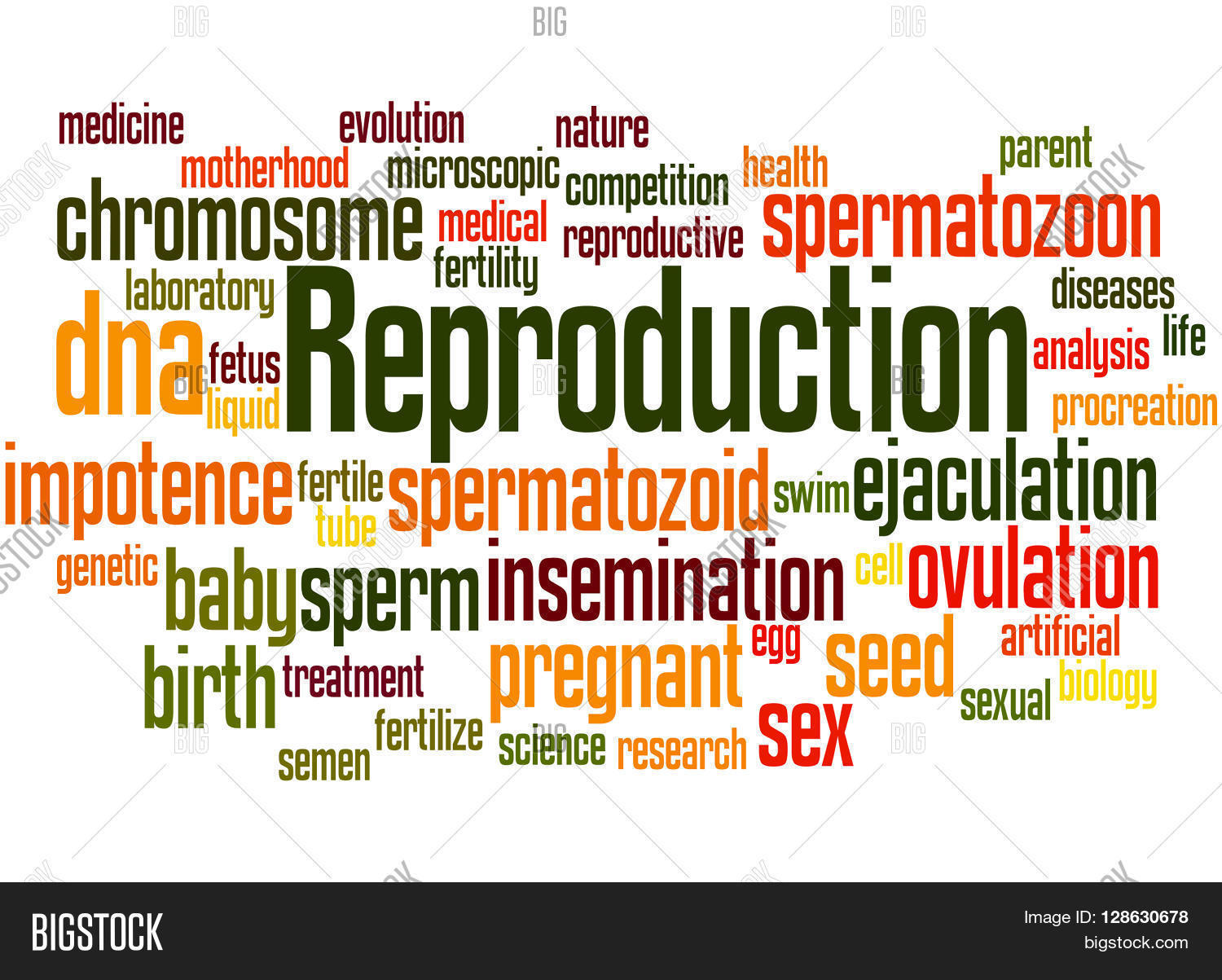 Reproduction, Word Cloud Concept 4 Stock Photo & Stock Images | Bigstock