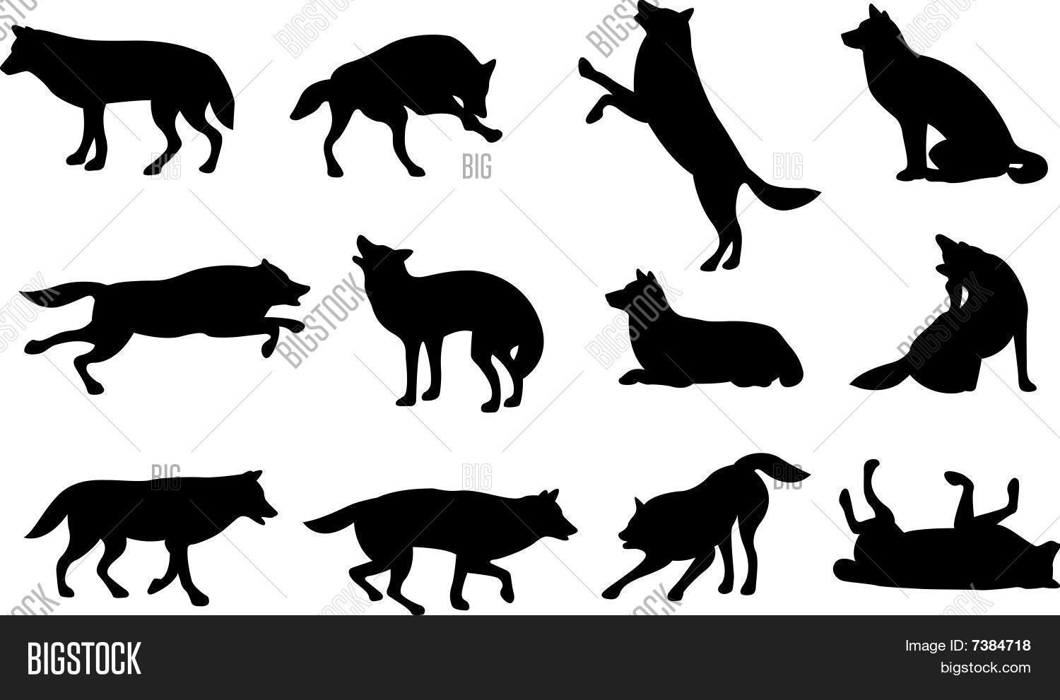Wolf Silhouette Vector & Photo | Bigstock