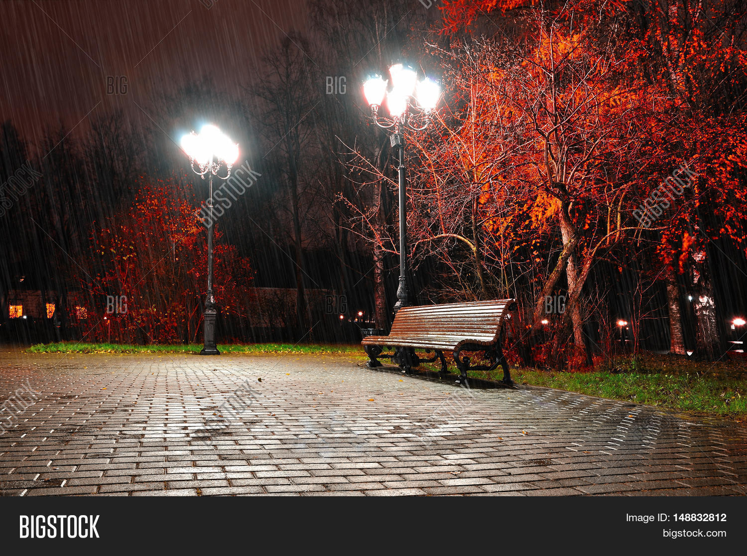 Autumn Night Landscape Night Autumn Image & Photo | Bigstock