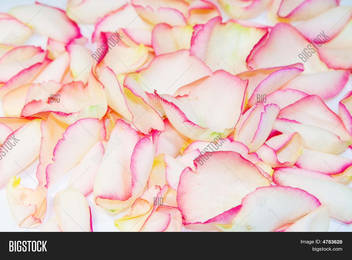 Romantic Background Texture Image & Photo | Bigstock