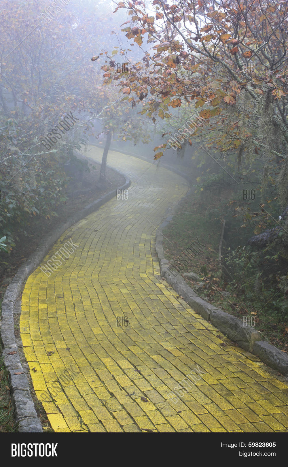 Yellow Brick Road Stock Photo & Stock Images | Bigstock