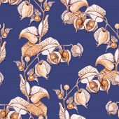 Featured Stock Photos | Bigstock