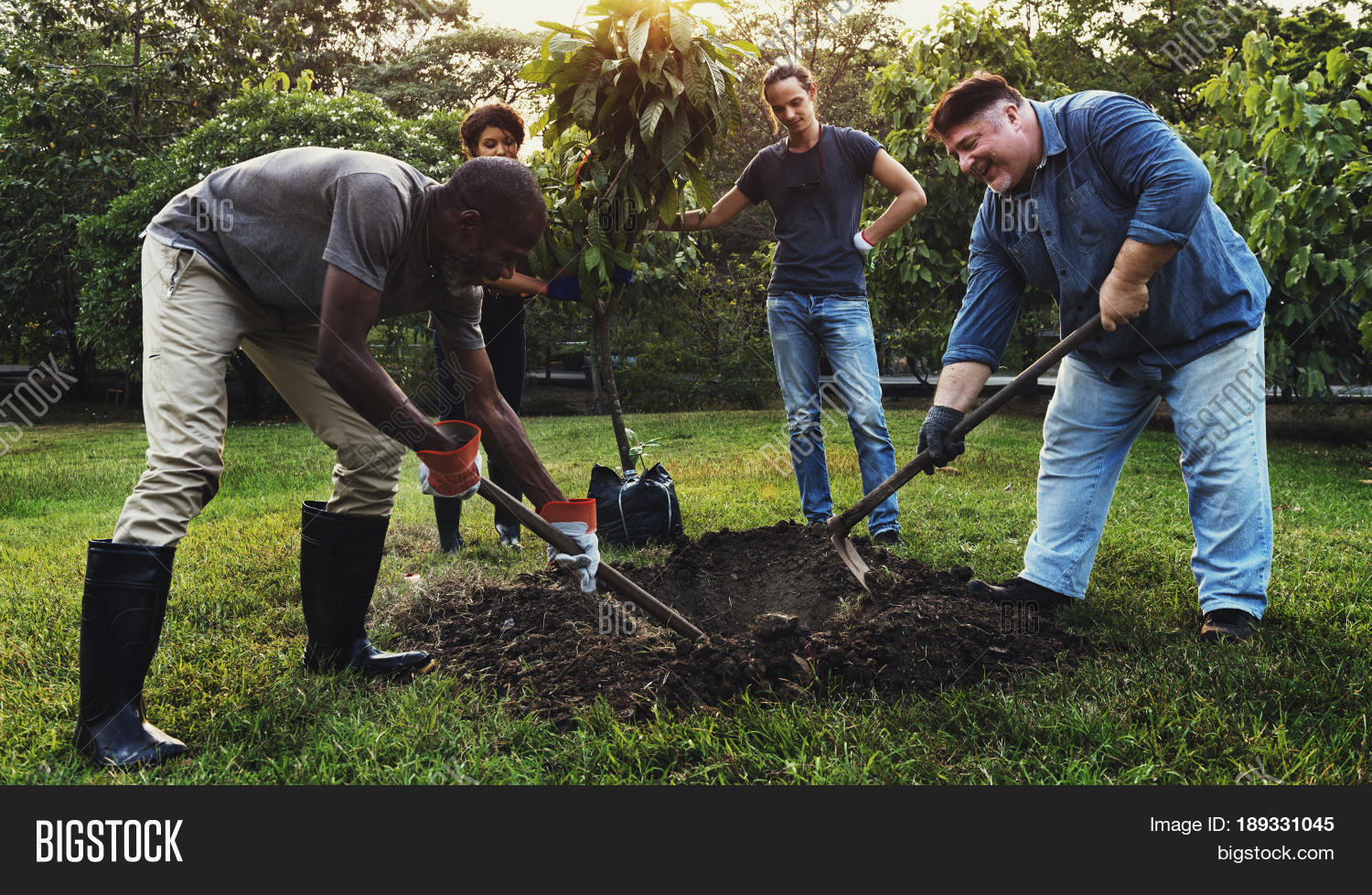 Group Diverse People Digging Hole Image & Photo | Bigstock